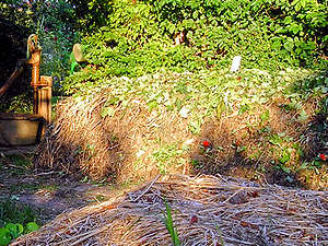 Quel modèle de composteur : à bac, silo, en fût, rotatif ou en tas