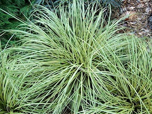 Couvre-sol - tous nos sujets