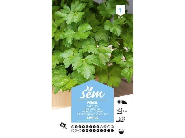 Persil simple