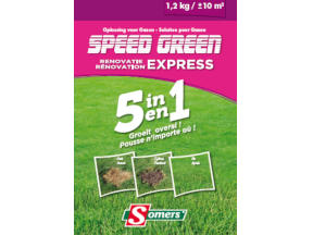 Gazon kikuyu : semis, entretien et arrosage