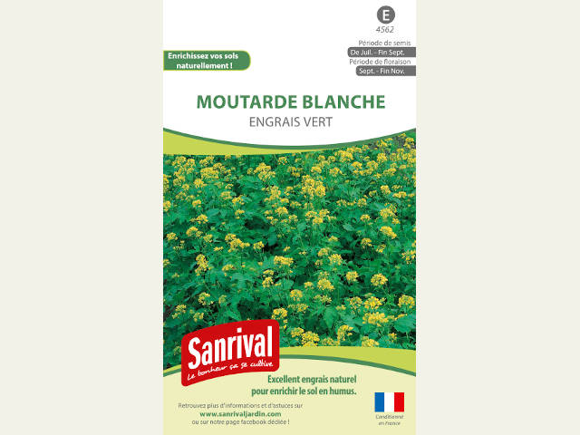 Sachet de graines de moutarde blanche