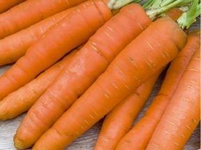 Carotte : semis et conseils de culture