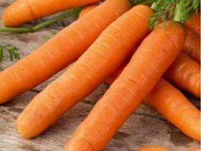 Carotte : semis et conseils de culture