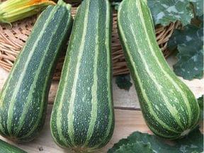 Variétés de courges : comment choisir