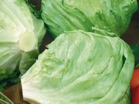 Choisir des laitues selon leur goût et la saison