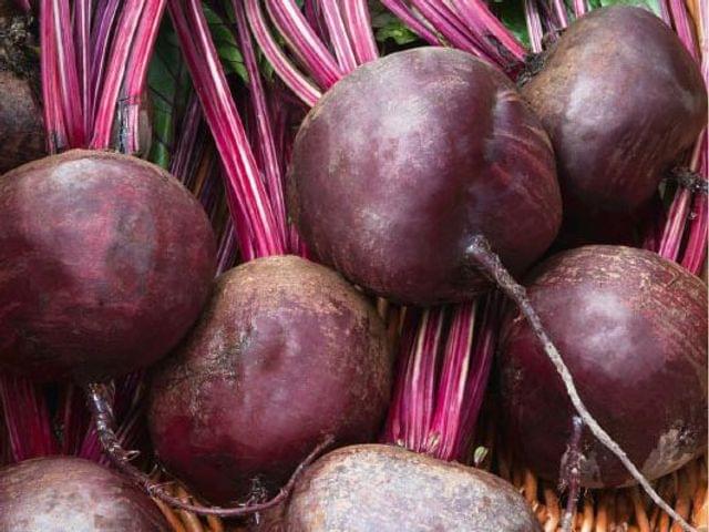 Betterave globe detroit (laura)