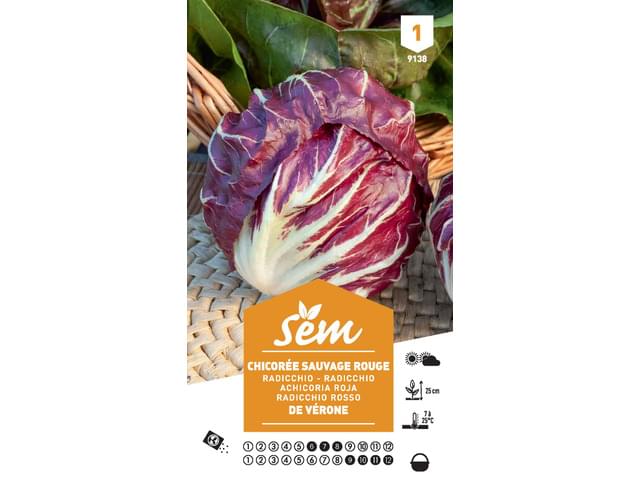 Chicoree sauvage de verone (sachet)