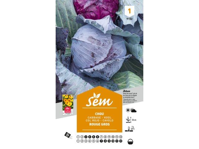 Chou rouge gros (sachet)