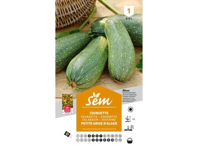 Courgette petite grise d alger (sachet)