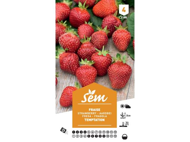Fraise temptation (sachet)