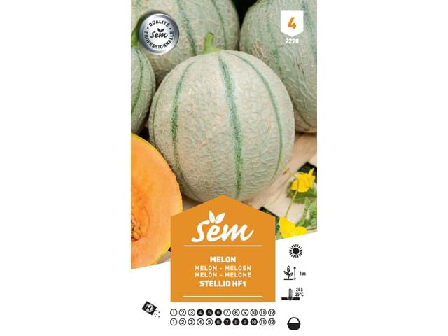 Melon stellio hf1 (sachet)
