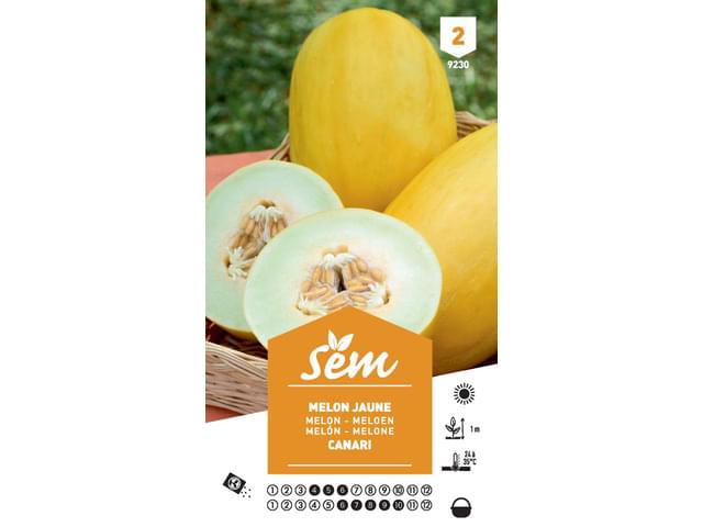 Melon canari var. ancienne (sachet)
