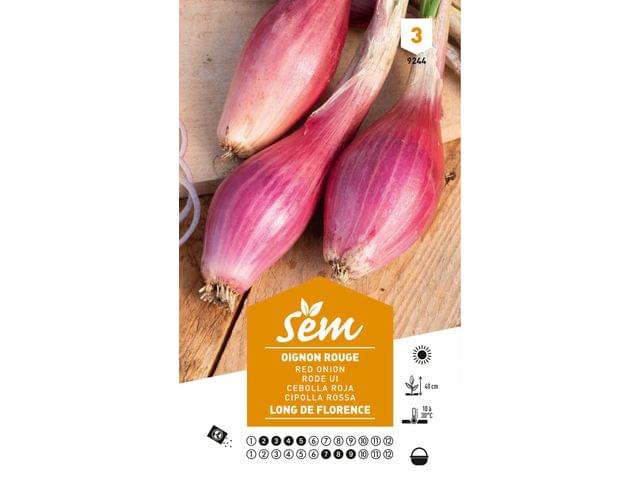 Oignon rouge long de florence (sachet)