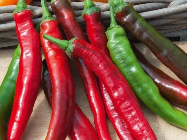Piment fort de cayenne