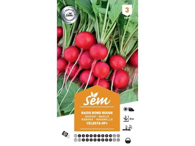 Radis rond rouge celesta hf1 (sachet)