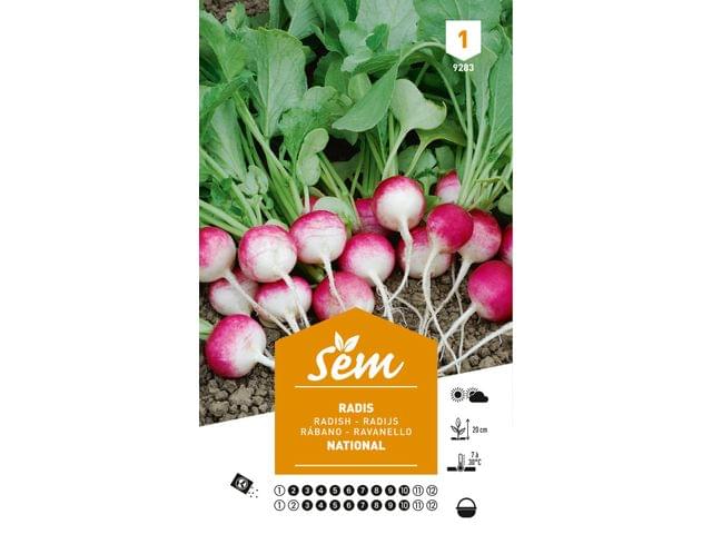 Radis national rd rose b/blc (sachet)