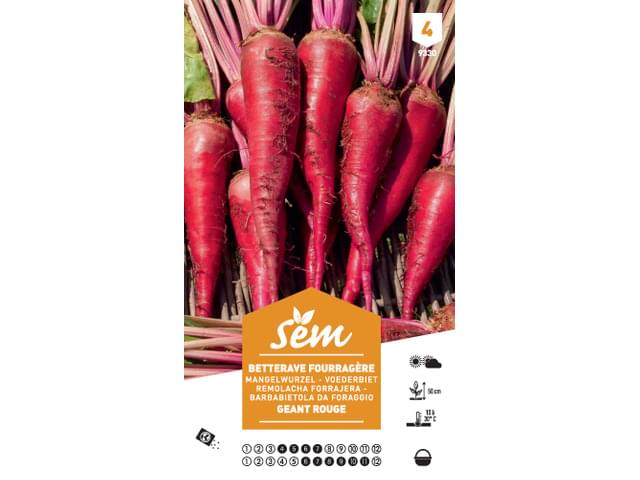 Betterave fourragere geant rouge xxl (sachet)