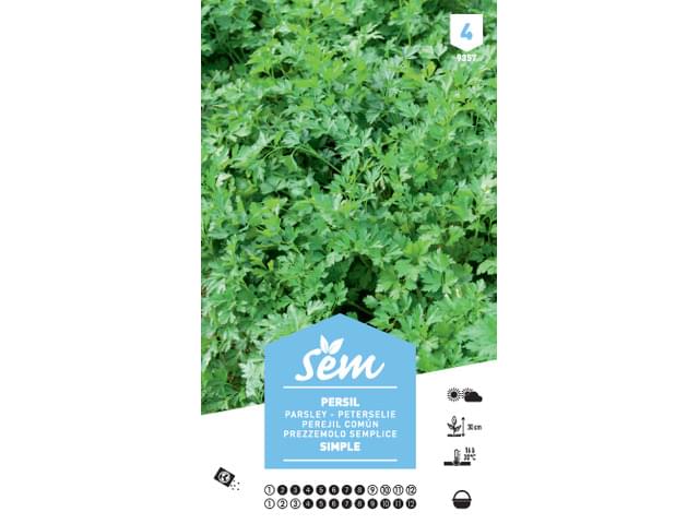 Persil simple xxl (sachet)