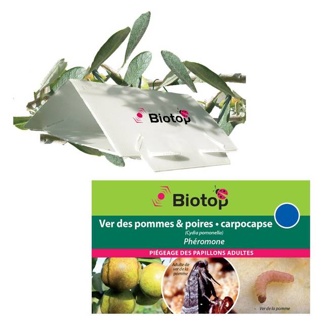 Kit Piège Delta + phéromones contres les carpocapses Pommes et Poires