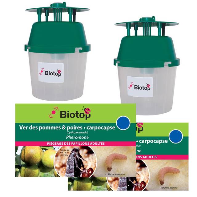 Kit Piège Entonnoir + phéromones contres les carpocapses Pommes et Poires