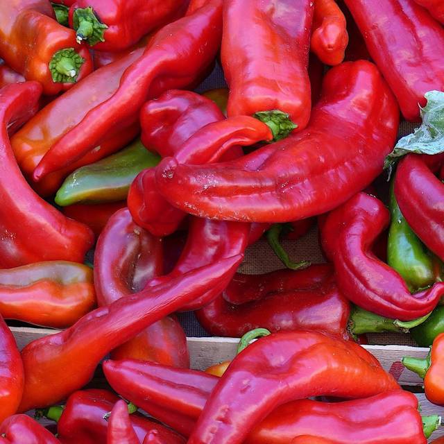 Poivron doux très long des Landes