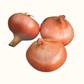 Oignon rocambole : plantez l'oignon perpétuel