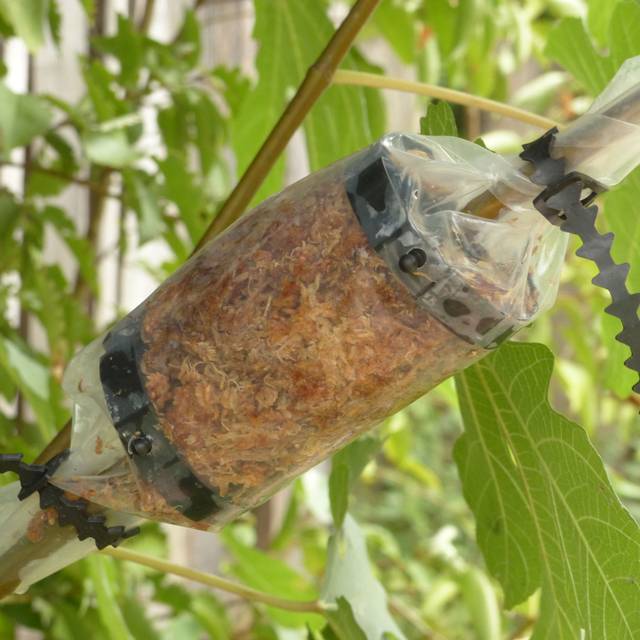 Kit de marcottage BOTABOX